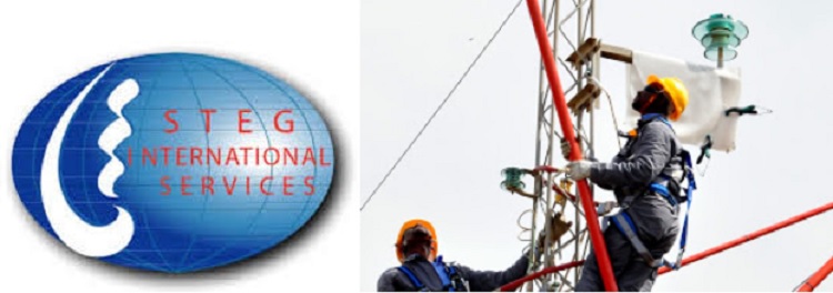 La Steg-Is accablée par les redressements fiscaux | African Manager